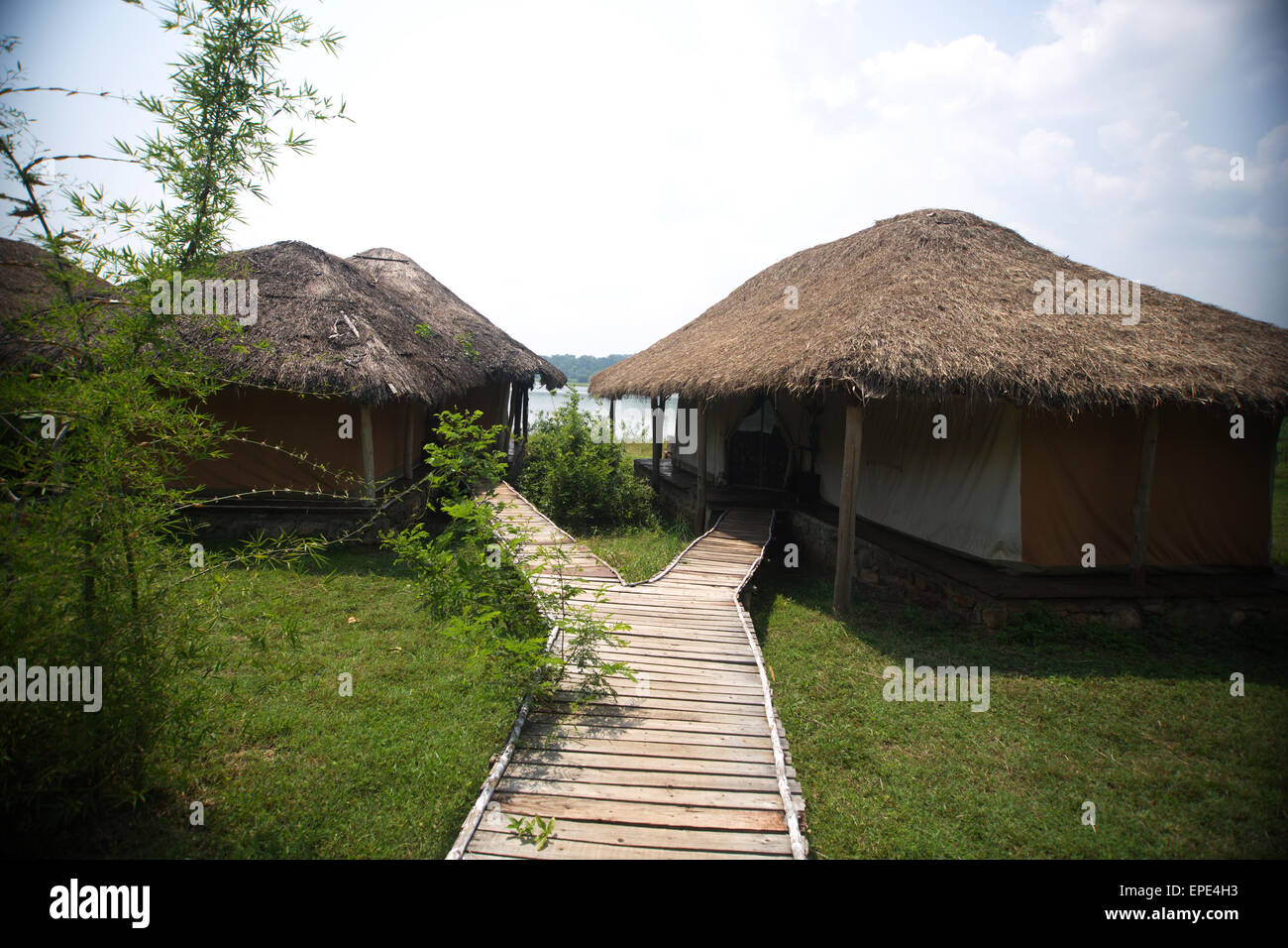 the bison resort, kabini, karnadaka Stock Photo - Alamy