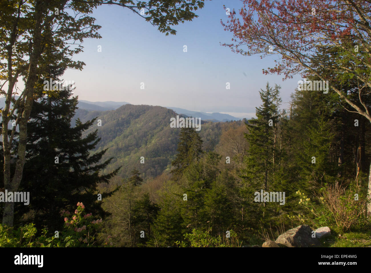 A picnic area along Newfound Gap Road in the Great Smoky Mountains ...
