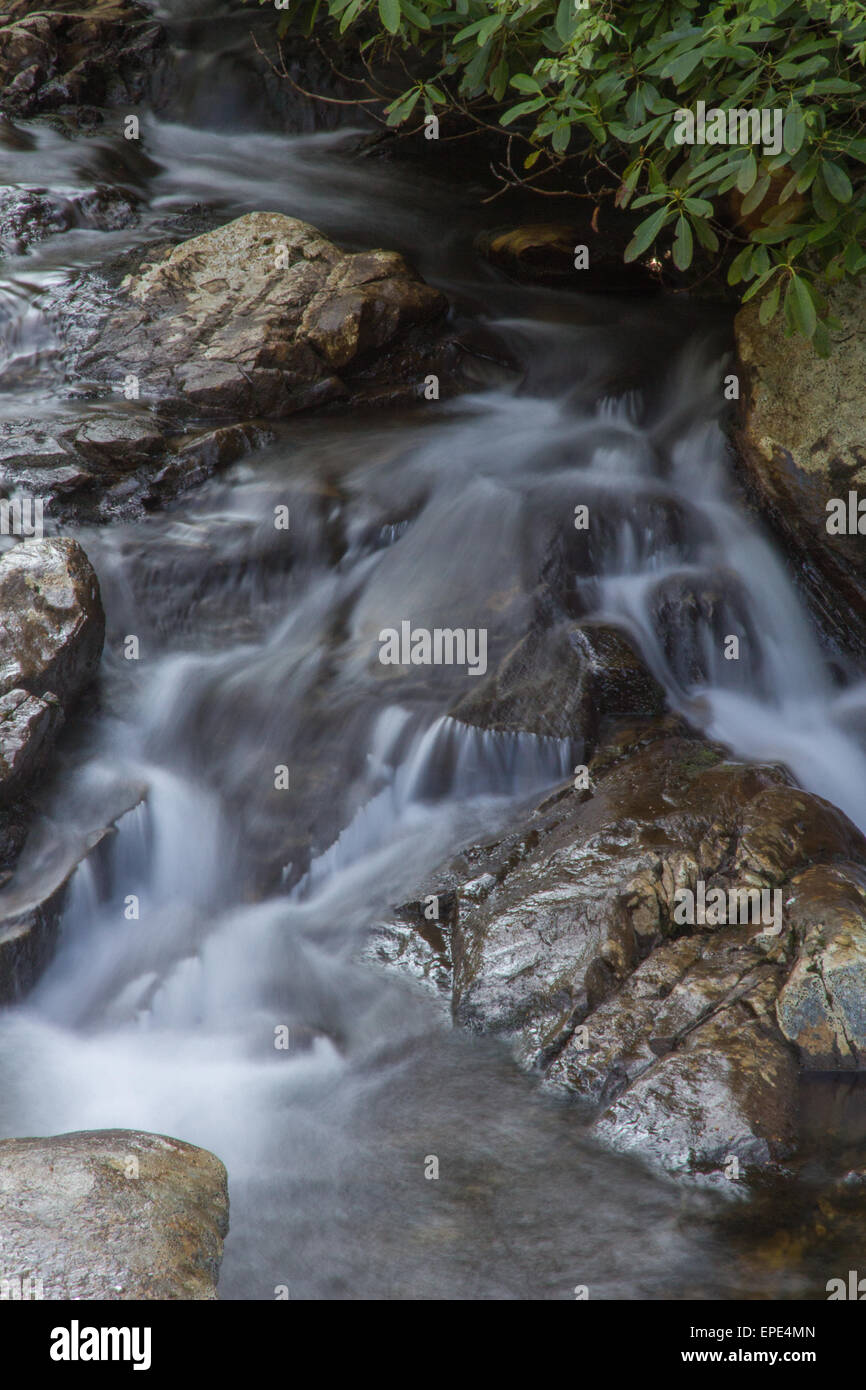 Water from a small mountain stream tumbles over rocks Stock Photo - Alamy