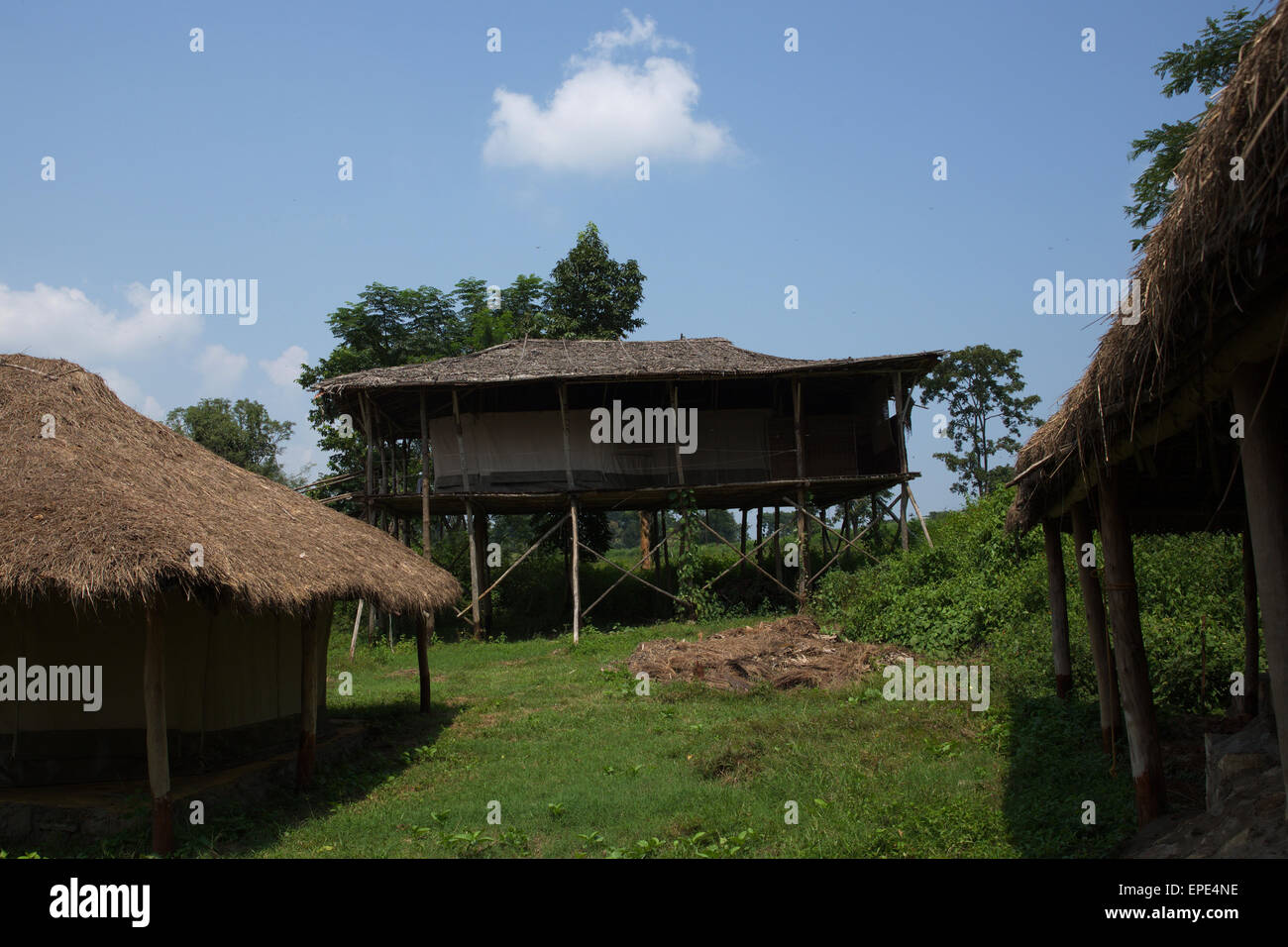 the bison resort, kabini, karnadaka Stock Photo - Alamy