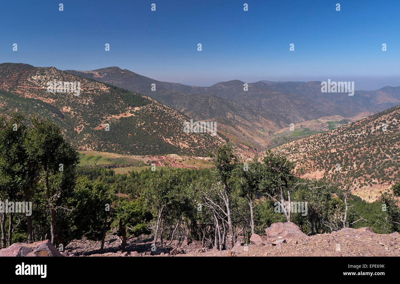 Fruit trees in the Atlas mountains In North Morocco Stock Photo - Alamy