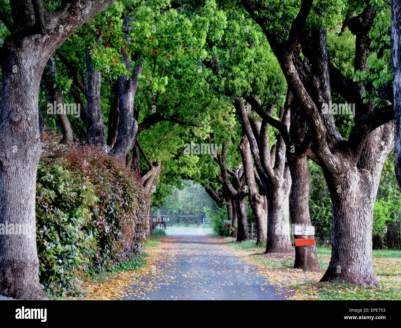 Chico california hi-res stock photography and images - Alamy