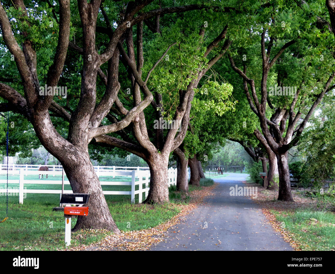 Chico california hi-res stock photography and images - Alamy