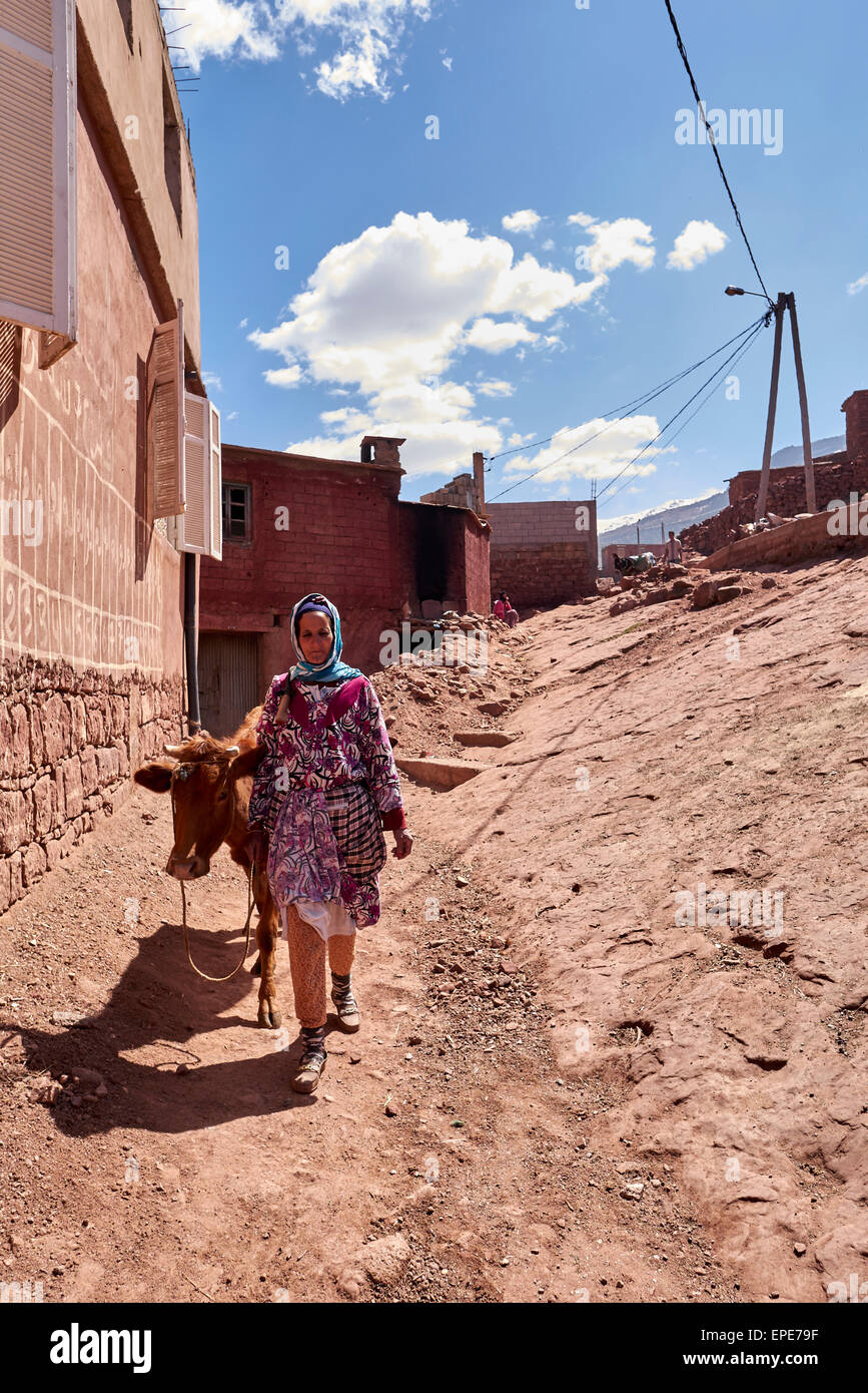 Berber farmer hi-res stock photography and images - Alamy