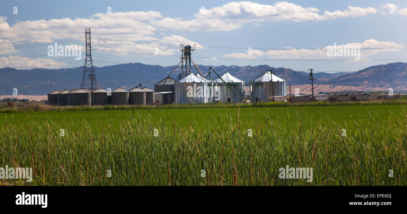 Rice storage hi-res stock photography and images - Alamy