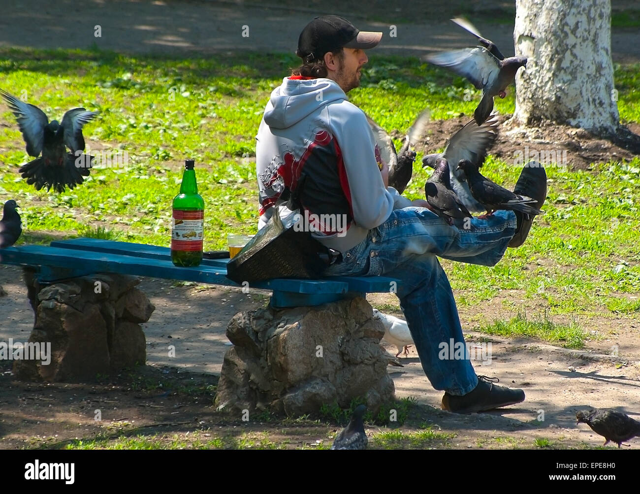 Young man sitting on a bench surrounded by pigeons Stock Photo - Alamy