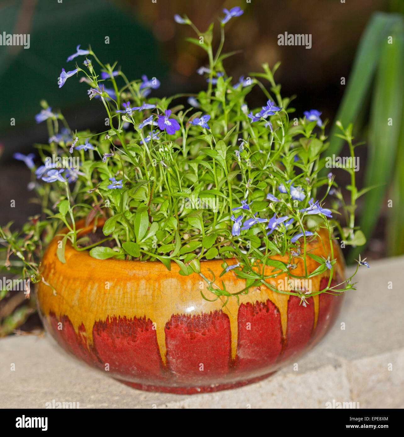 Colorful container containers hi-res stock photography and images - Alamy