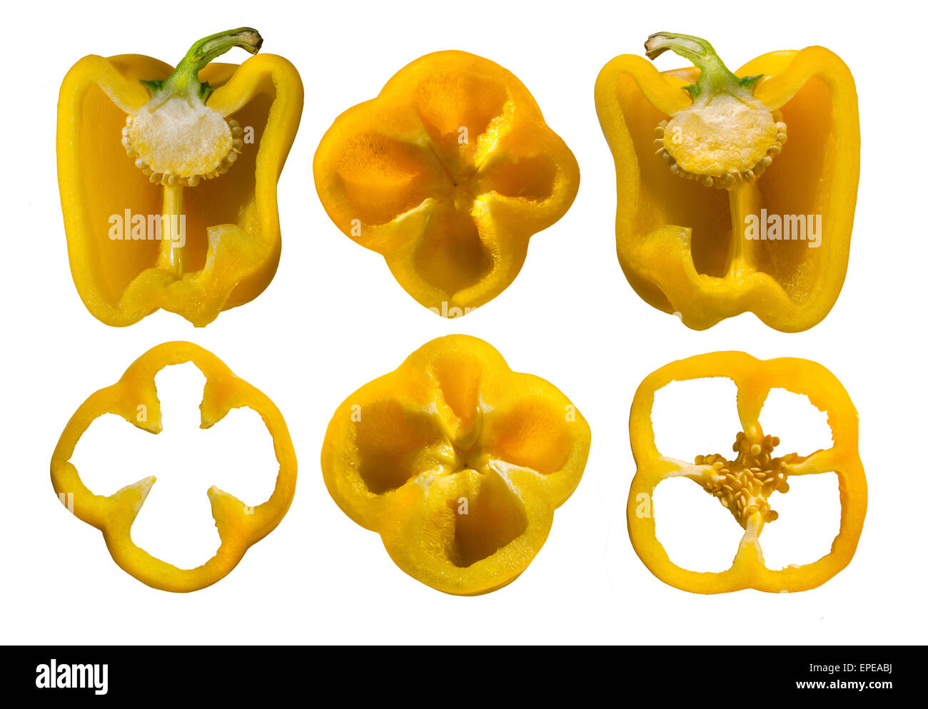 Pepper field Cut Out Stock Images & Pictures - Alamy