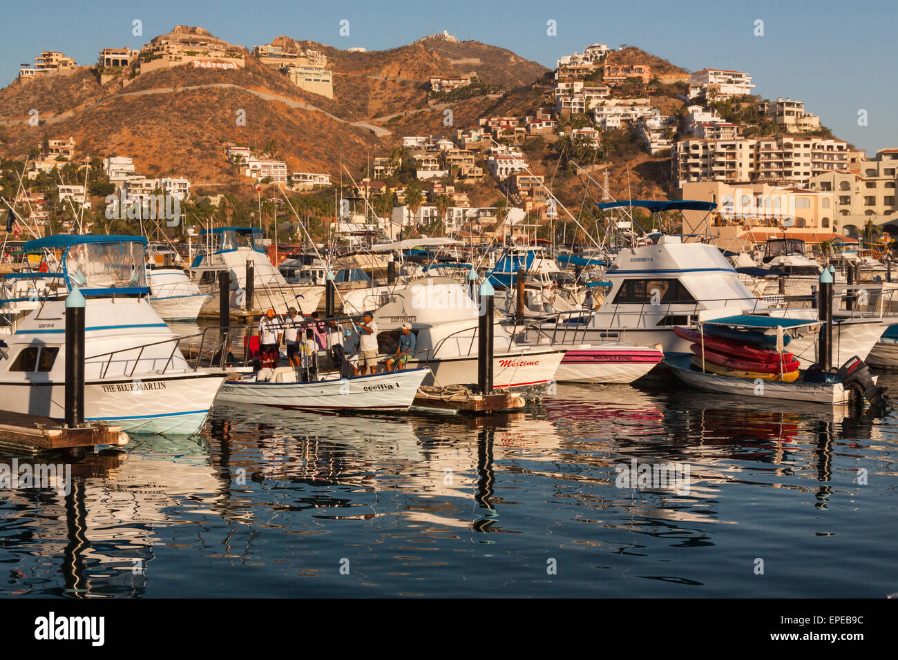 Boats in Cabo Marina, Cabo San Lucas, Baja California, Mexico Stock ...