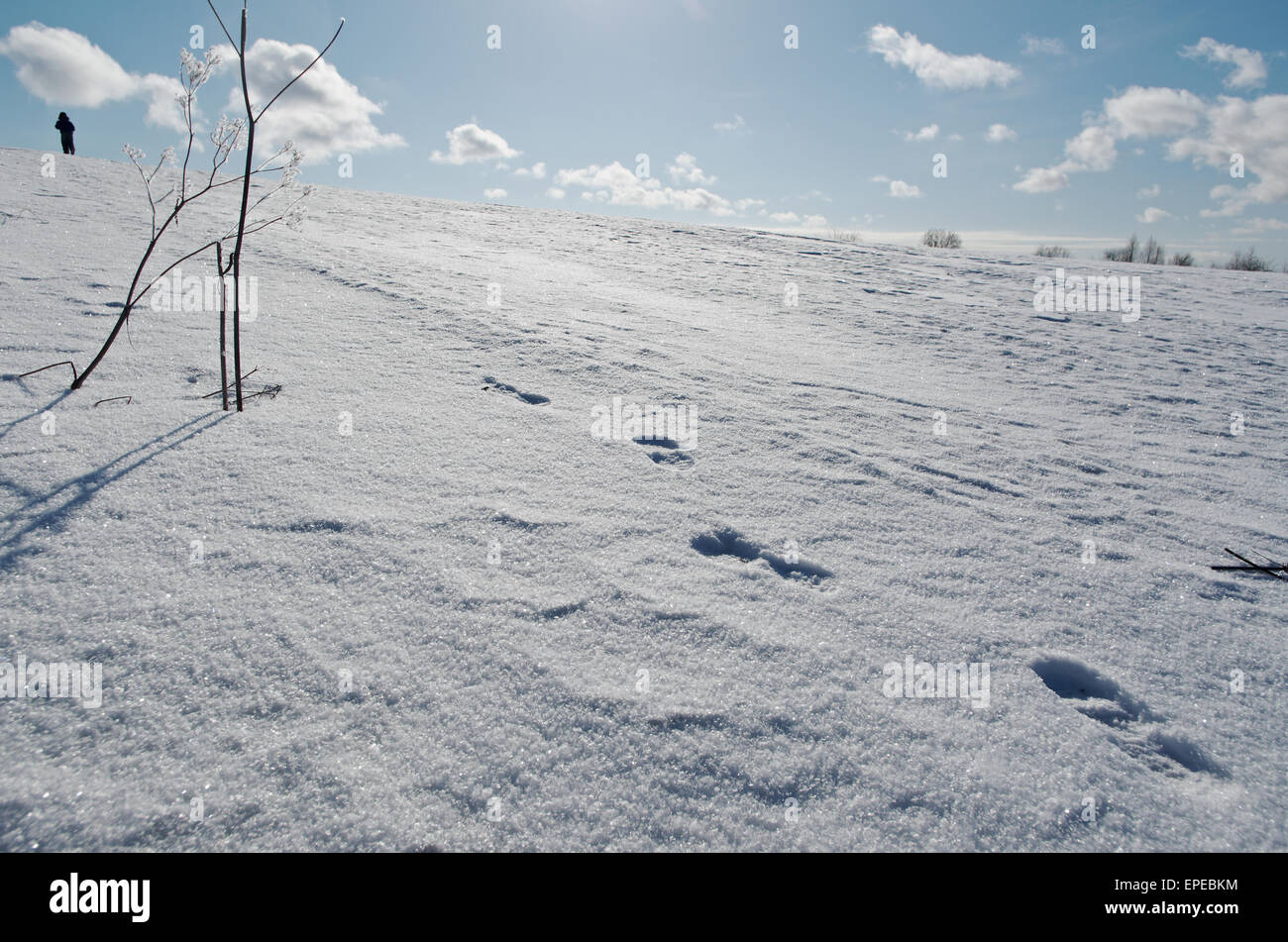 Winter scene .snowy hill with footprints Stock Photo - Alamy
