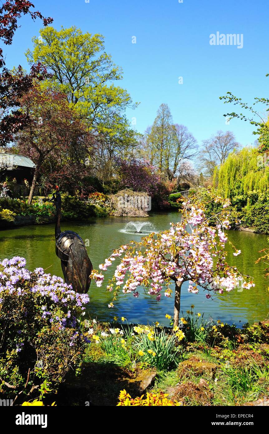 The dingle shrewsbury hi-res stock photography and images - Alamy