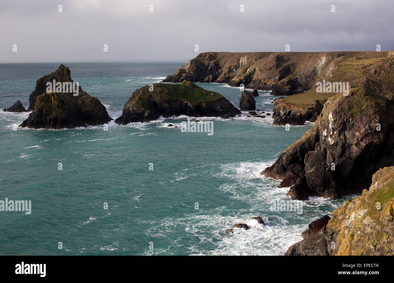 The coast of the Lizard Peninsula at Kynance Cove, Cornwall, England ...