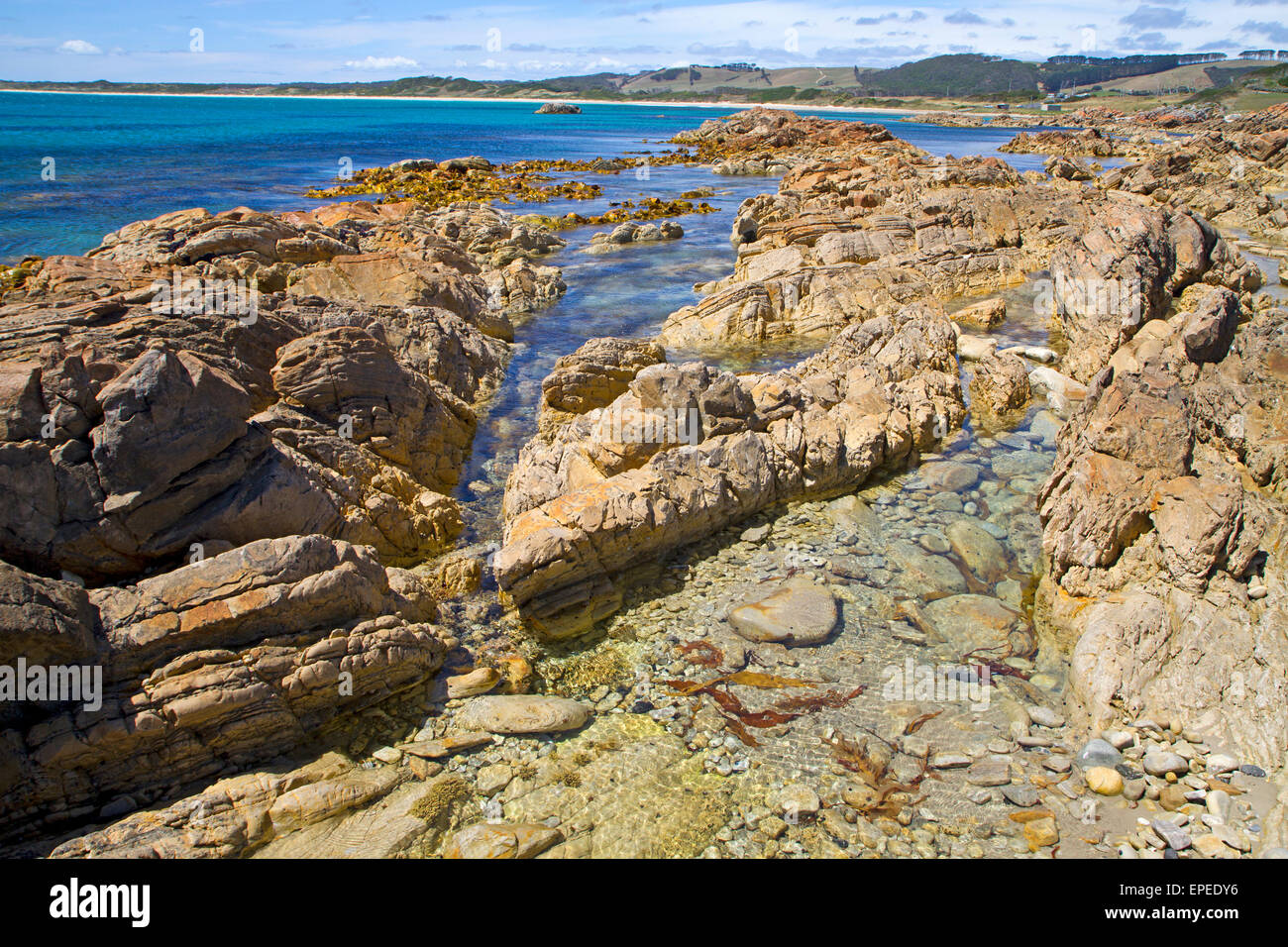Marrawah tasmania hi-res stock photography and images - Alamy