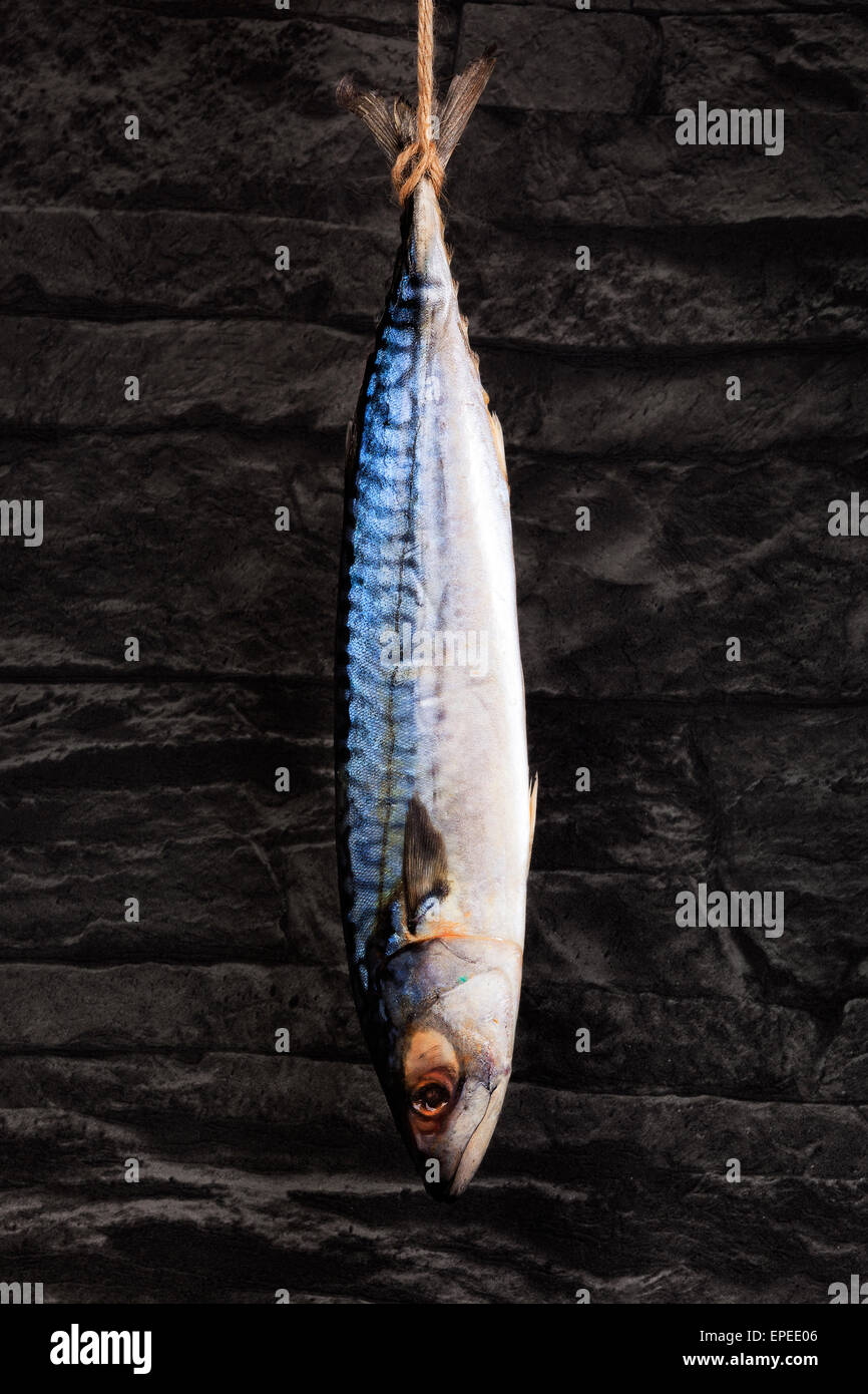 Kipper hanging hi-res stock photography and images - Alamy