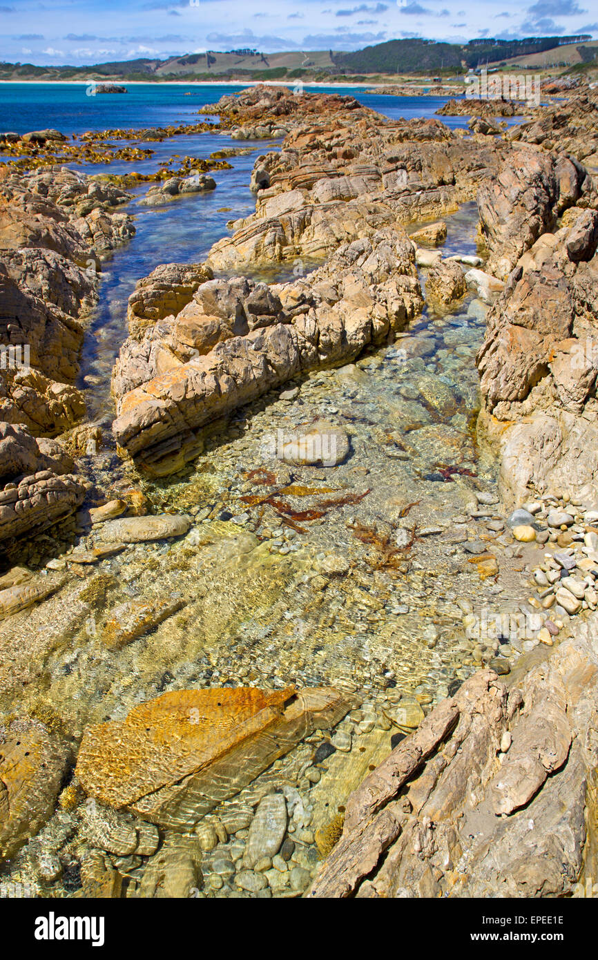 The rugged coastline at Green Point in Marrawah Stock Photo - Alamy