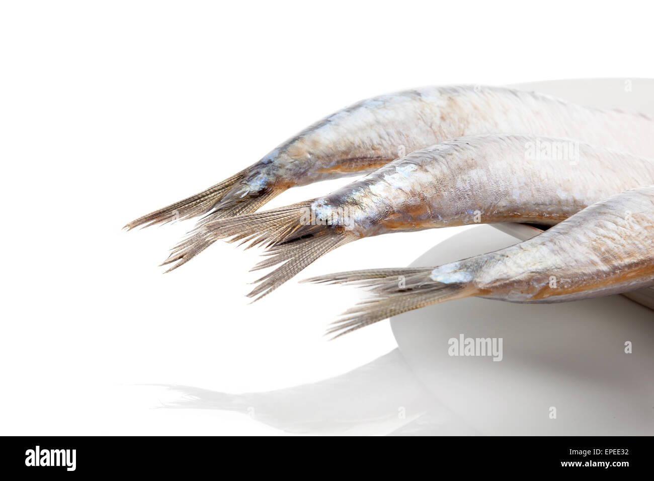 Luxurious seafood background. Fish tails on plate isolated on white ...