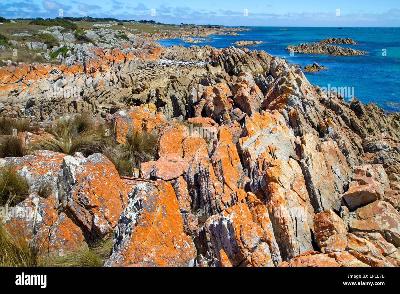The rugged coastline at Green Point in Marrawah Stock Photo - Alamy