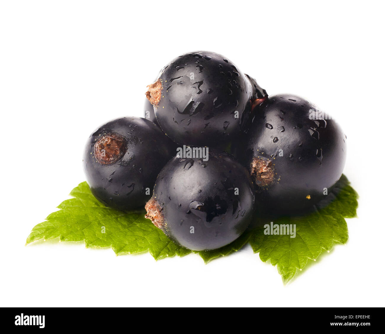 Ripe blackcurrant isolated on Cut Out Stock Images & Pictures - Alamy