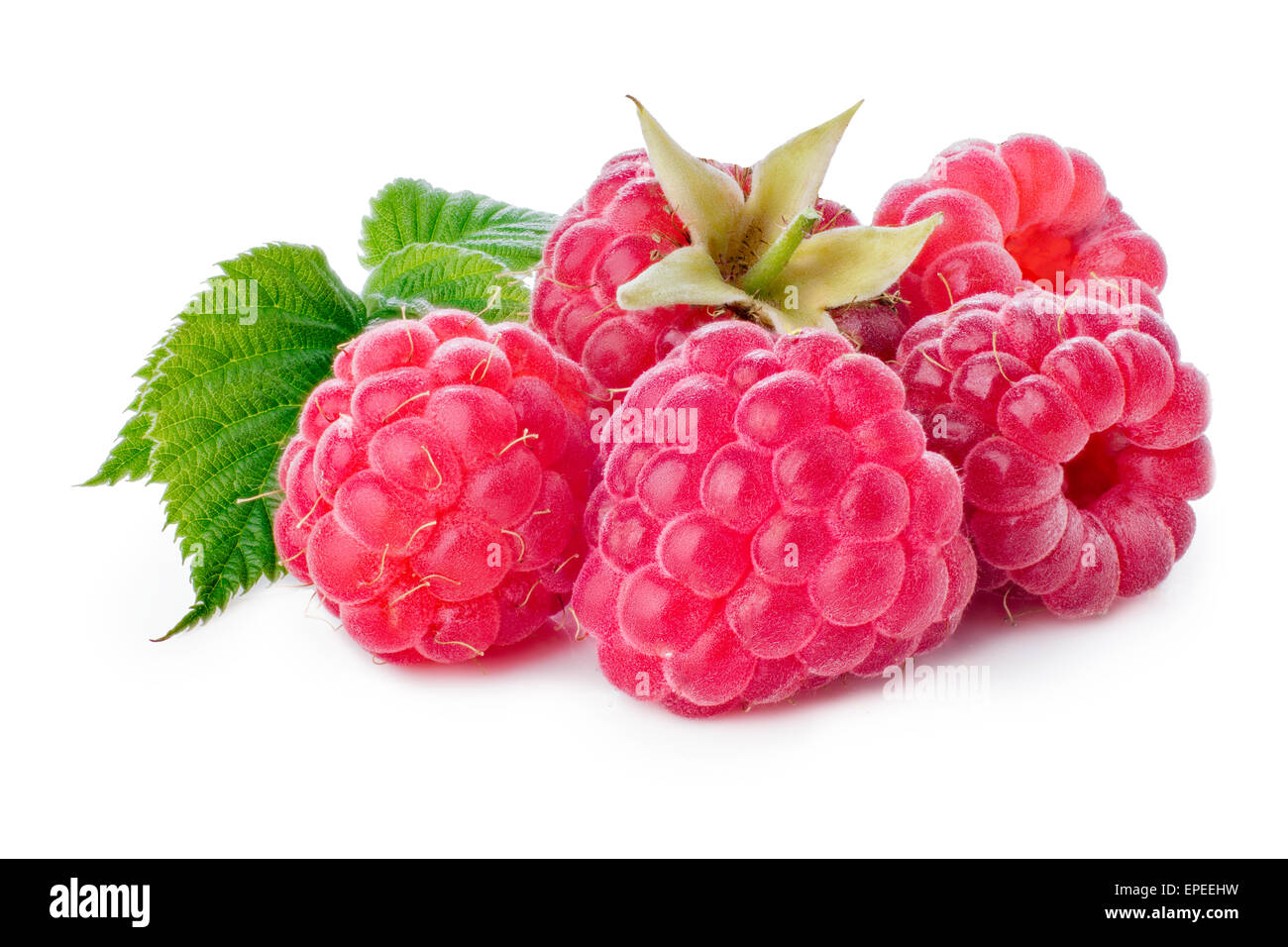 Freshly picked ripe green Cut Out Stock Images & Pictures - Alamy