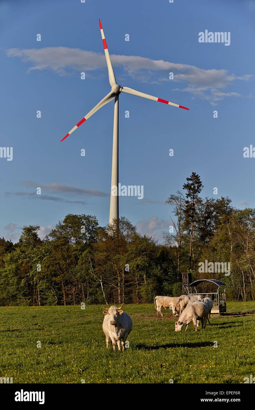 Turbinet hi-res stock photography and images - Alamy