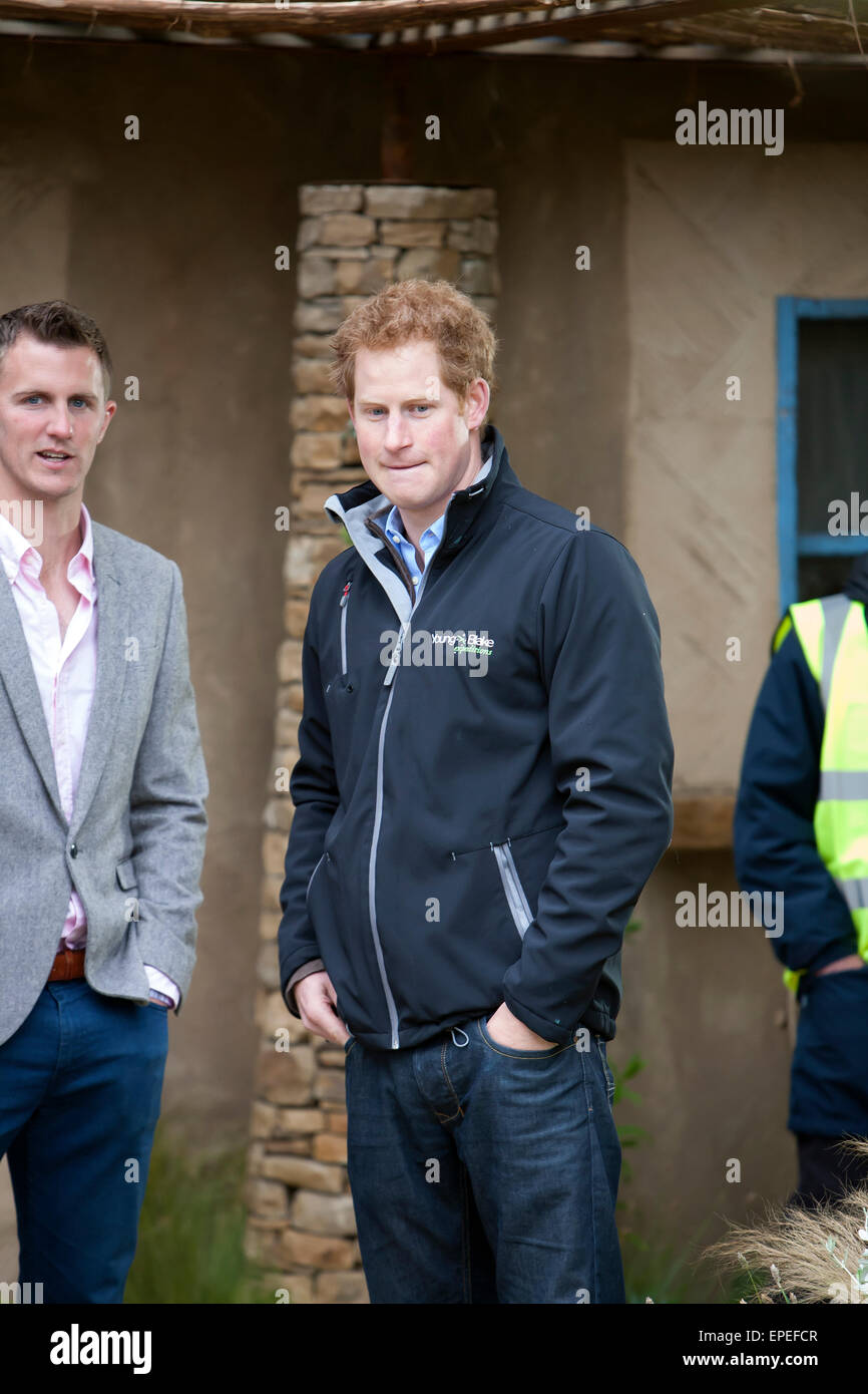 Prince Harry attends RHS Chelsea flower show 2015 Stock Photo - Alamy