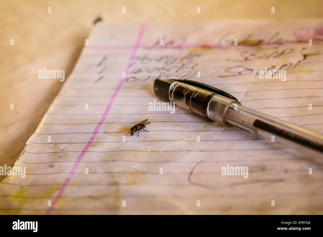 Instrument of writing hi-res stock photography and images - Alamy