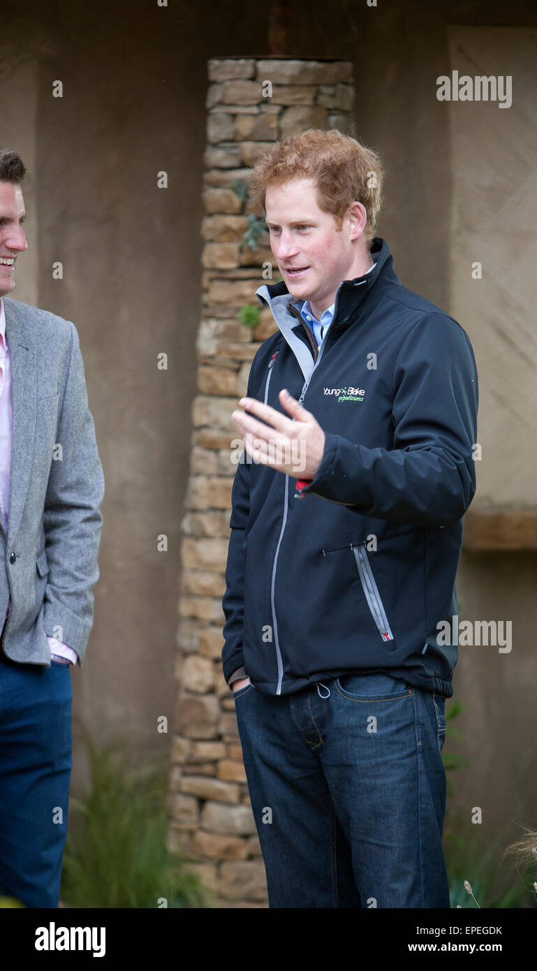 Prince Harry attends RHS Chelsea flower show 2015 Stock Photo - Alamy