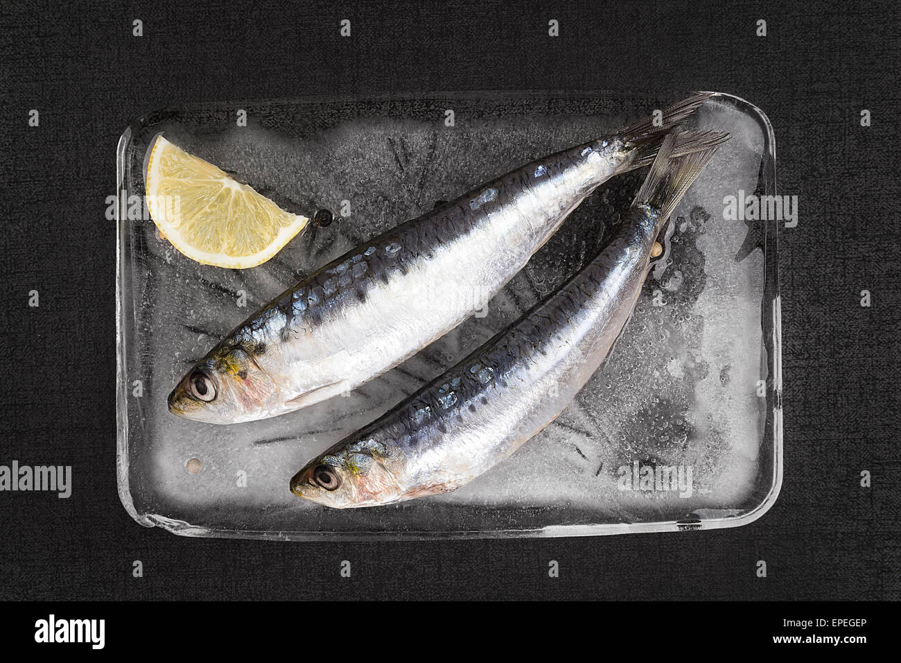 Mediterranean seafood concept. Fresh anchovy fish on ice plate on black ...