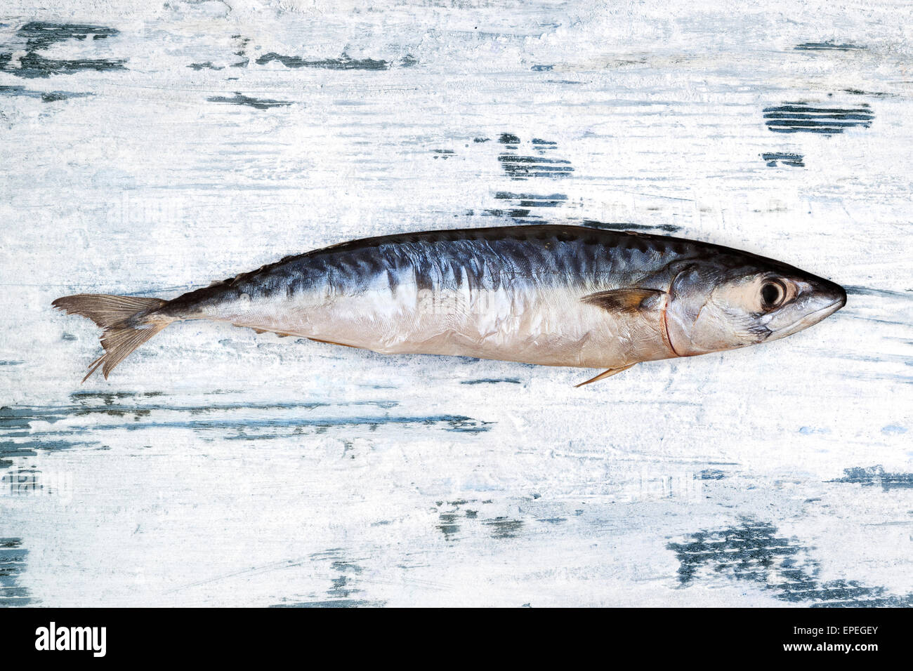 Blue mackerel hi-res stock photography and images - Alamy