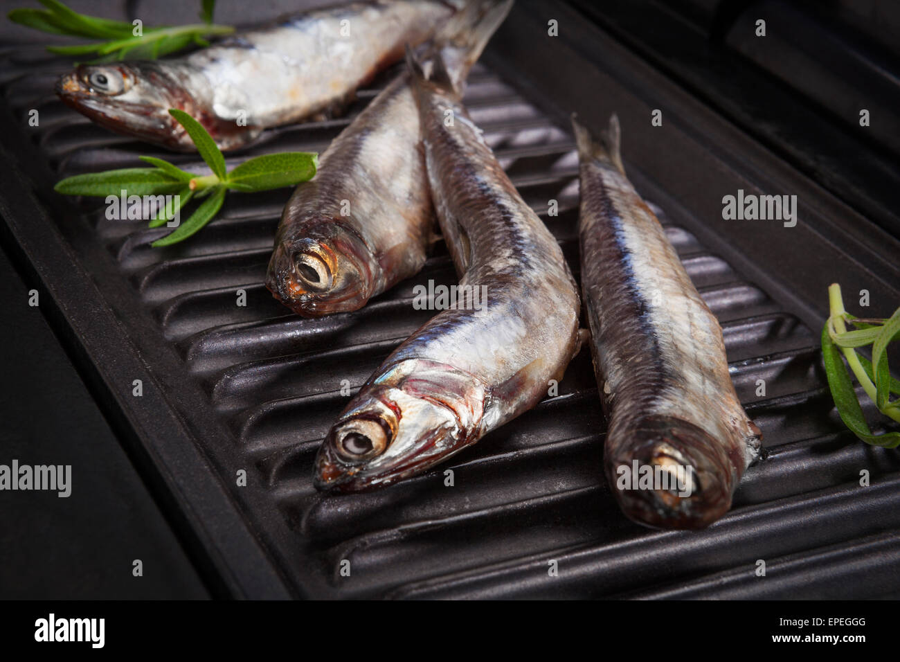Fresh anchovy fish on black roast. Barbeque, roasted seafood concept ...