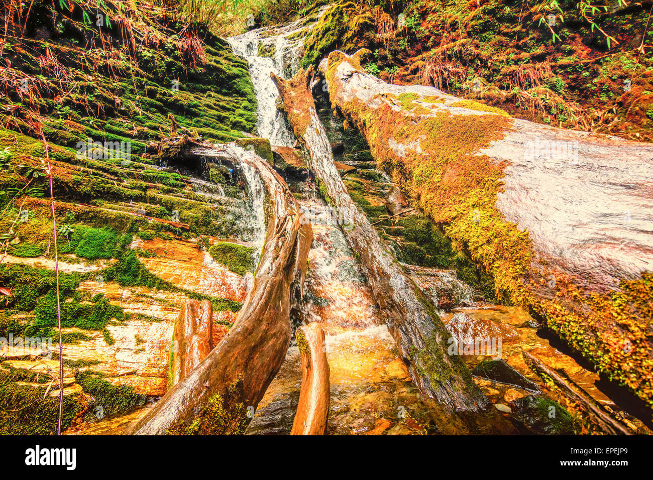 Waterfall and forest hi-res stock photography and images - Alamy