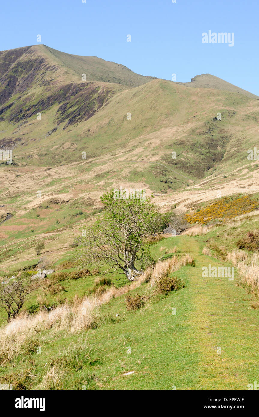 Tramway through Cwm Pennant to abandoned slate mine Llanfihangel ...
