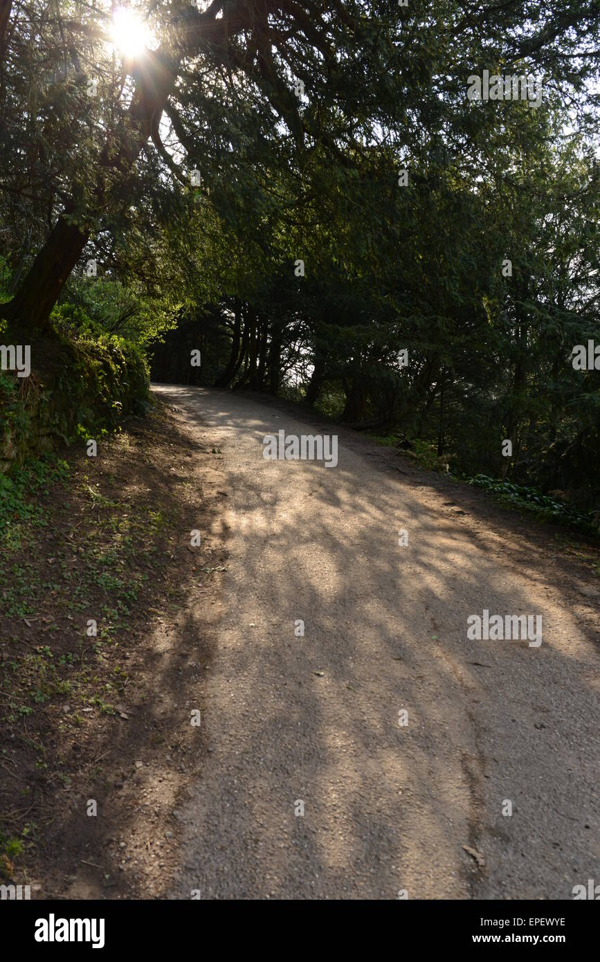 Royal pathway hi-res stock photography and images - Alamy