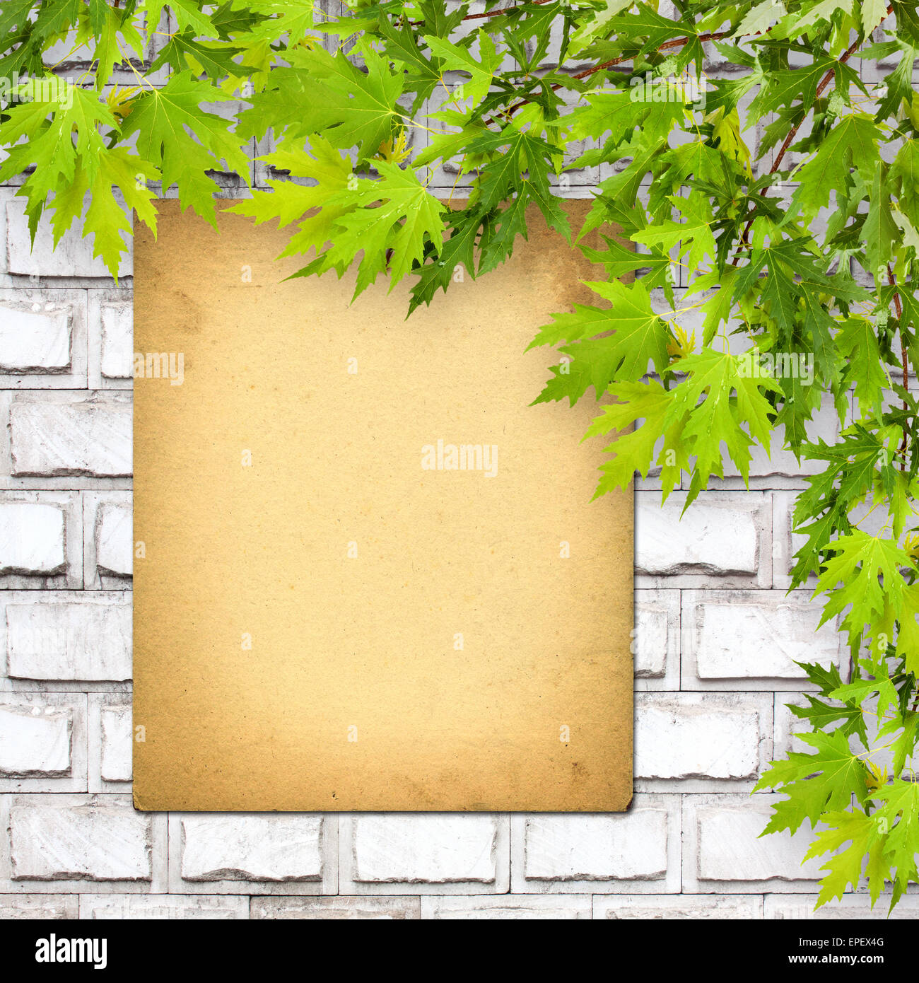 Old paper listing on white brick wall with bright green foliage Stock ...