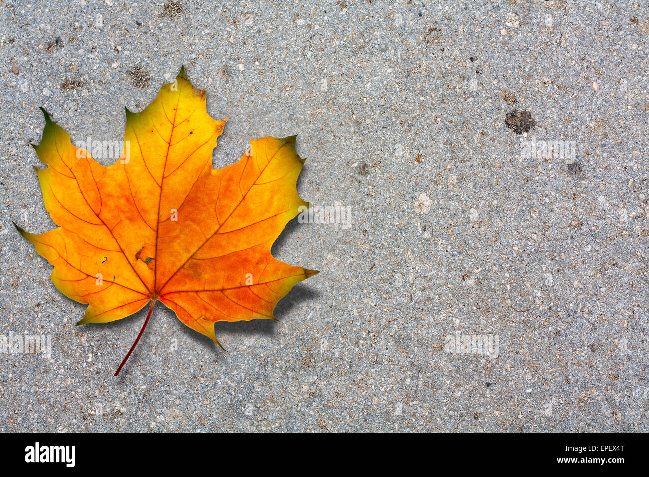Weathered stone paved road hi-res stock photography and images - Alamy