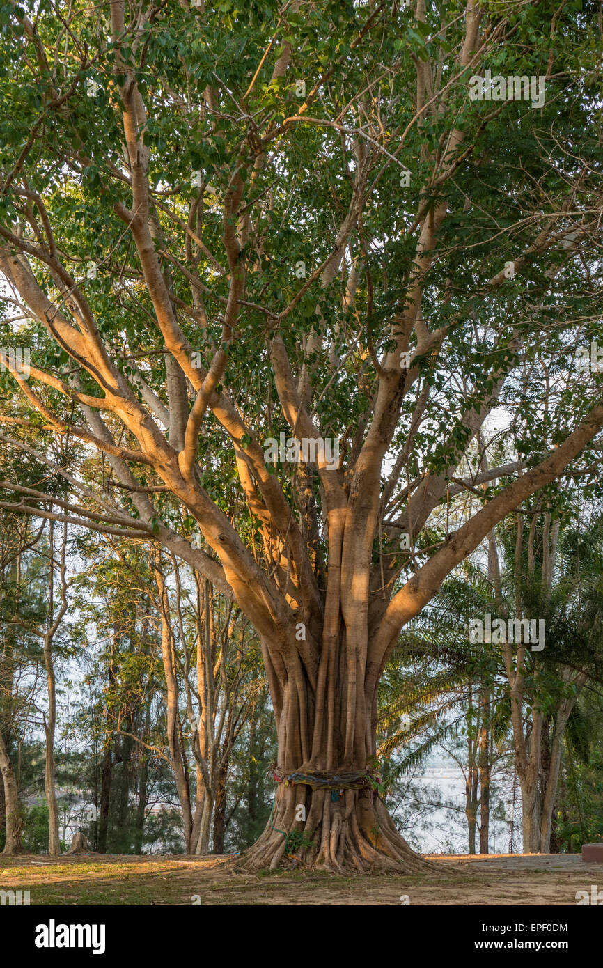 Ban laem pho hi-res stock photography and images - Alamy