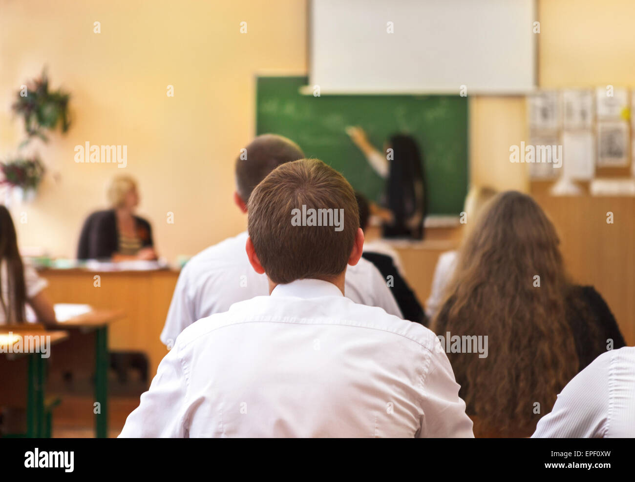 Rear view of students in the classroom Stock Photo - Alamy