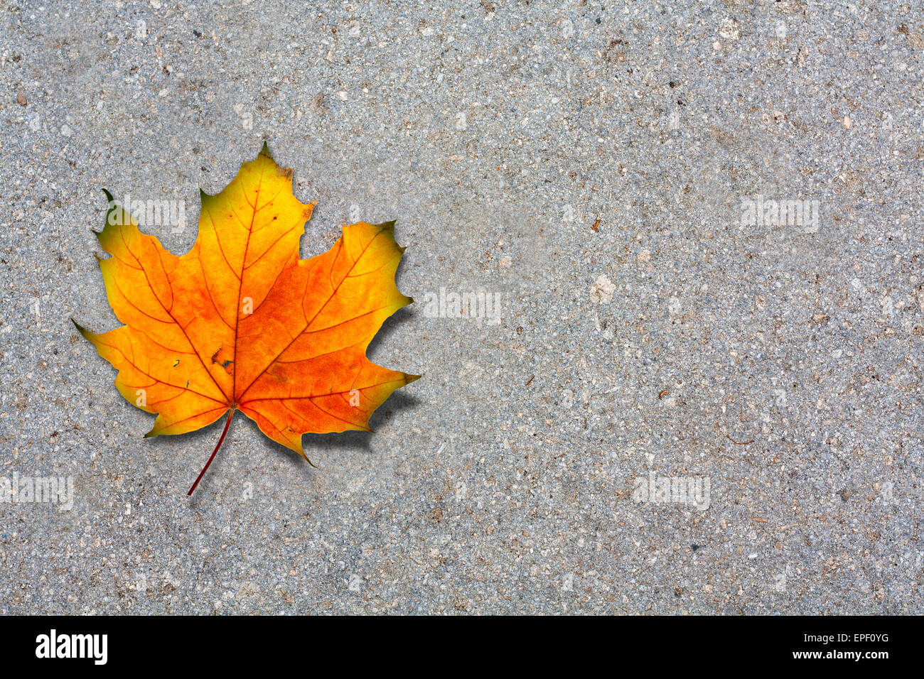 Weathered stone paved road hi-res stock photography and images - Alamy