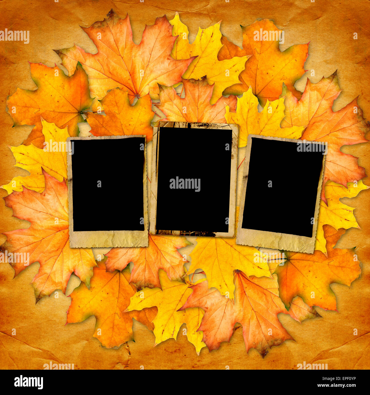 Blank leaf hi-res stock photography and images - Alamy