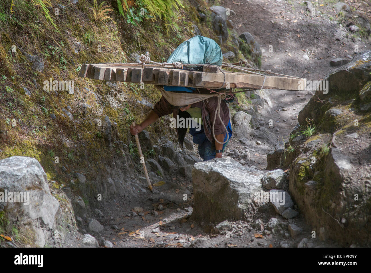 Sherpa carrying a load hi-res stock photography and images - Alamy