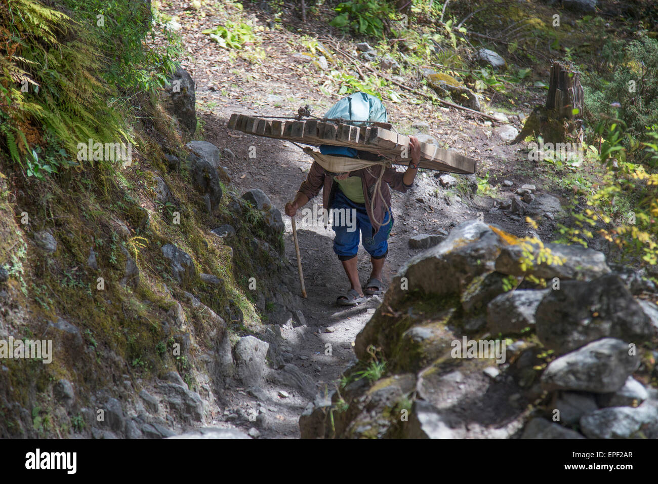 A porter carrying building materials and supplies in the Himalaya Nepal ...