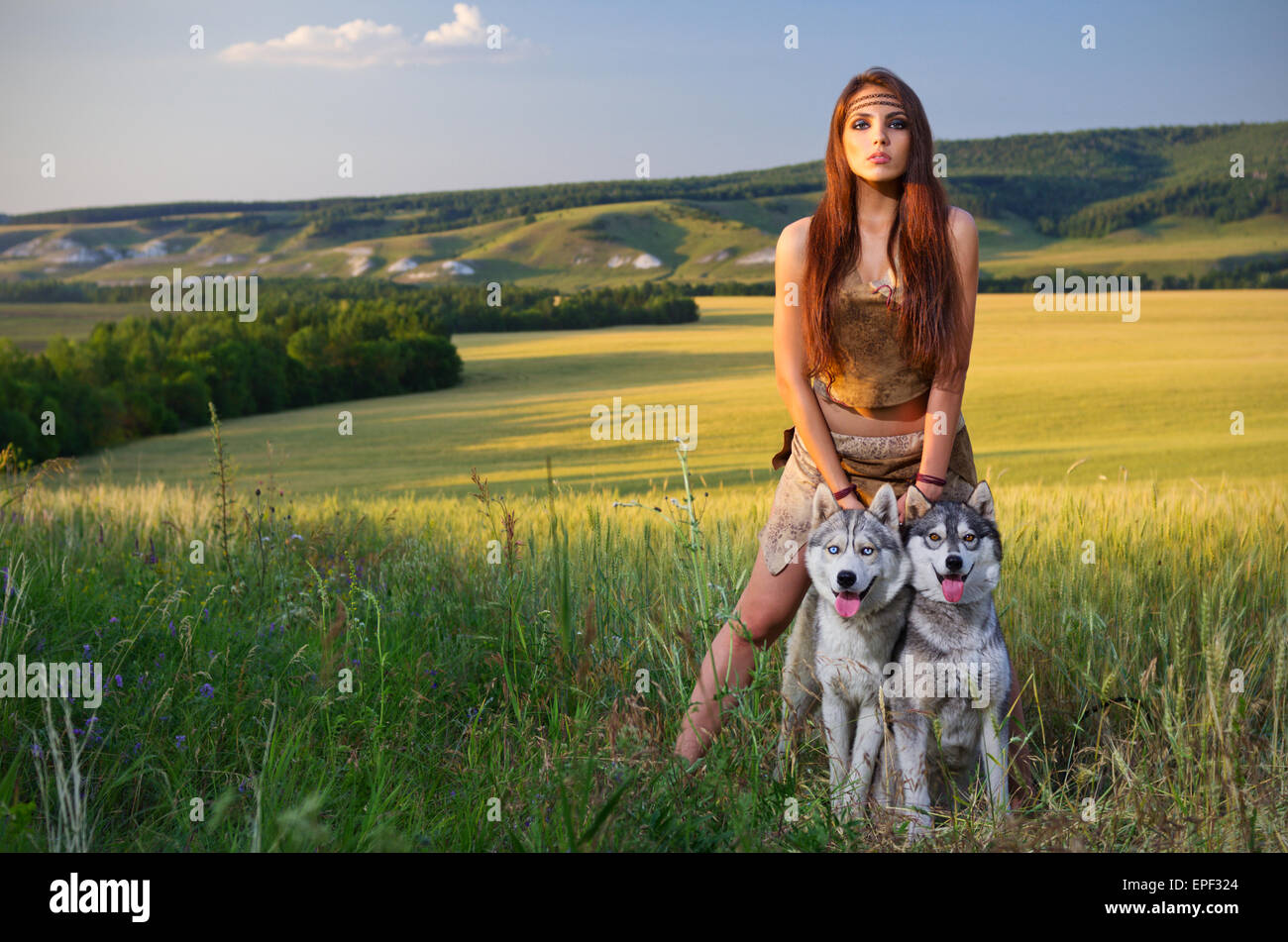 Girl with dogs in a wheat field at sunset Stock Photo - Alamy