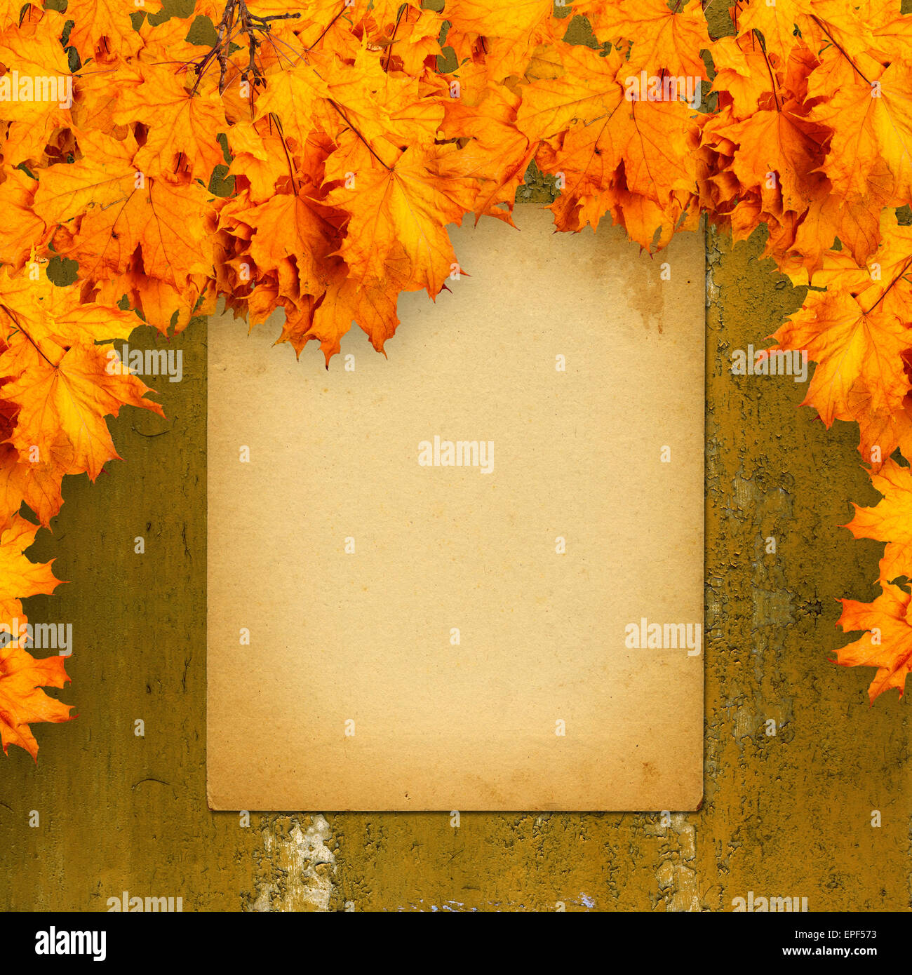 Rusty orange tree hi-res stock photography and images - Alamy