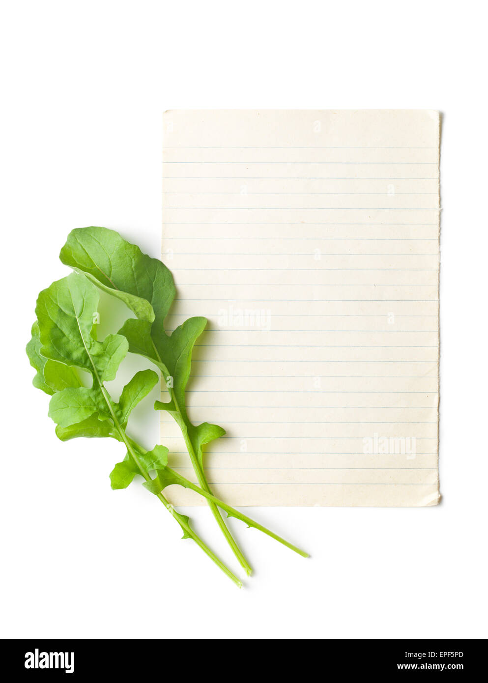 the arugula leaves with blank paper Stock Photo - Alamy