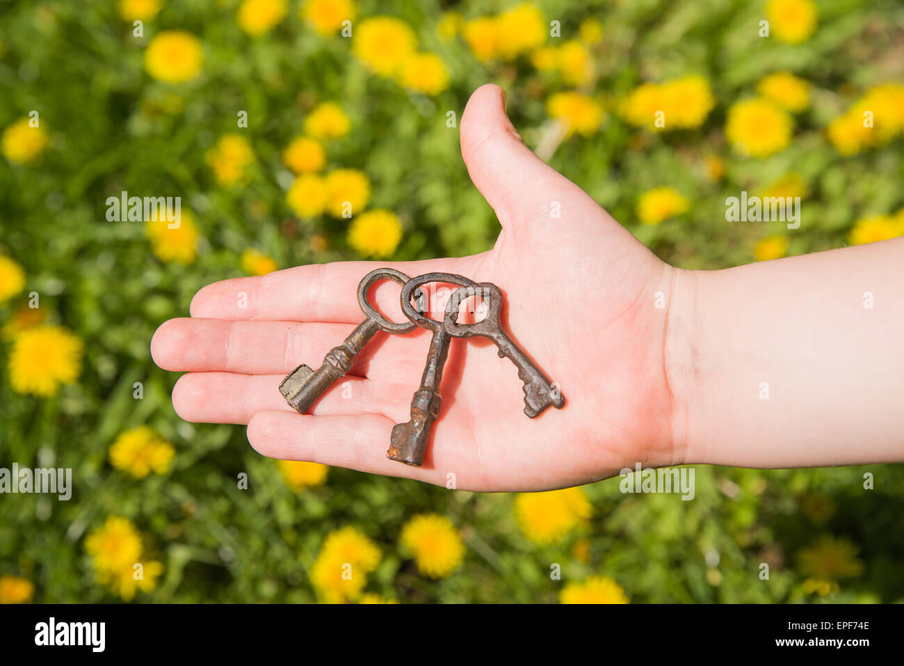 Childs hand holding old hi-res stock photography and images - Alamy