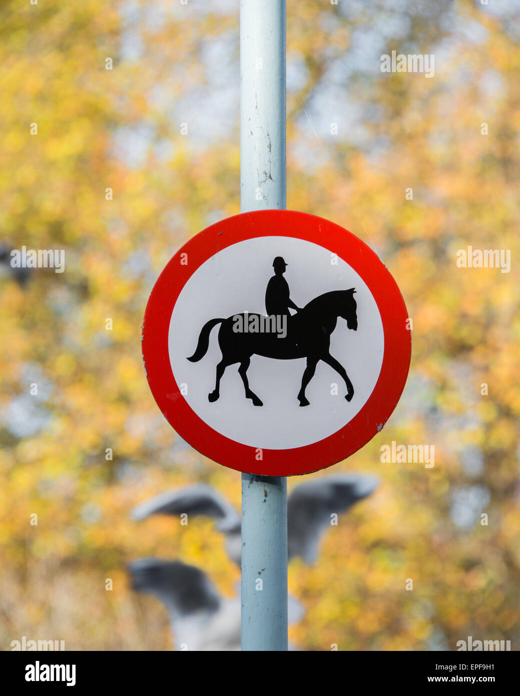 Horse roadsign hi-res stock photography and images - Alamy