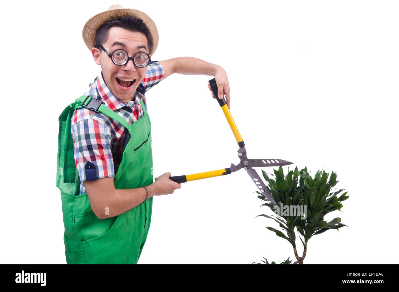 Man trimming tree Cut Out Stock Images & Pictures - Alamy