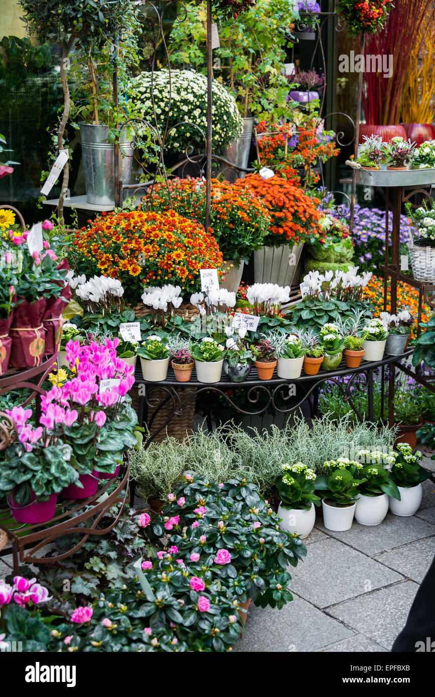 Street flower shop with colourful flowers Stock Photo - Alamy