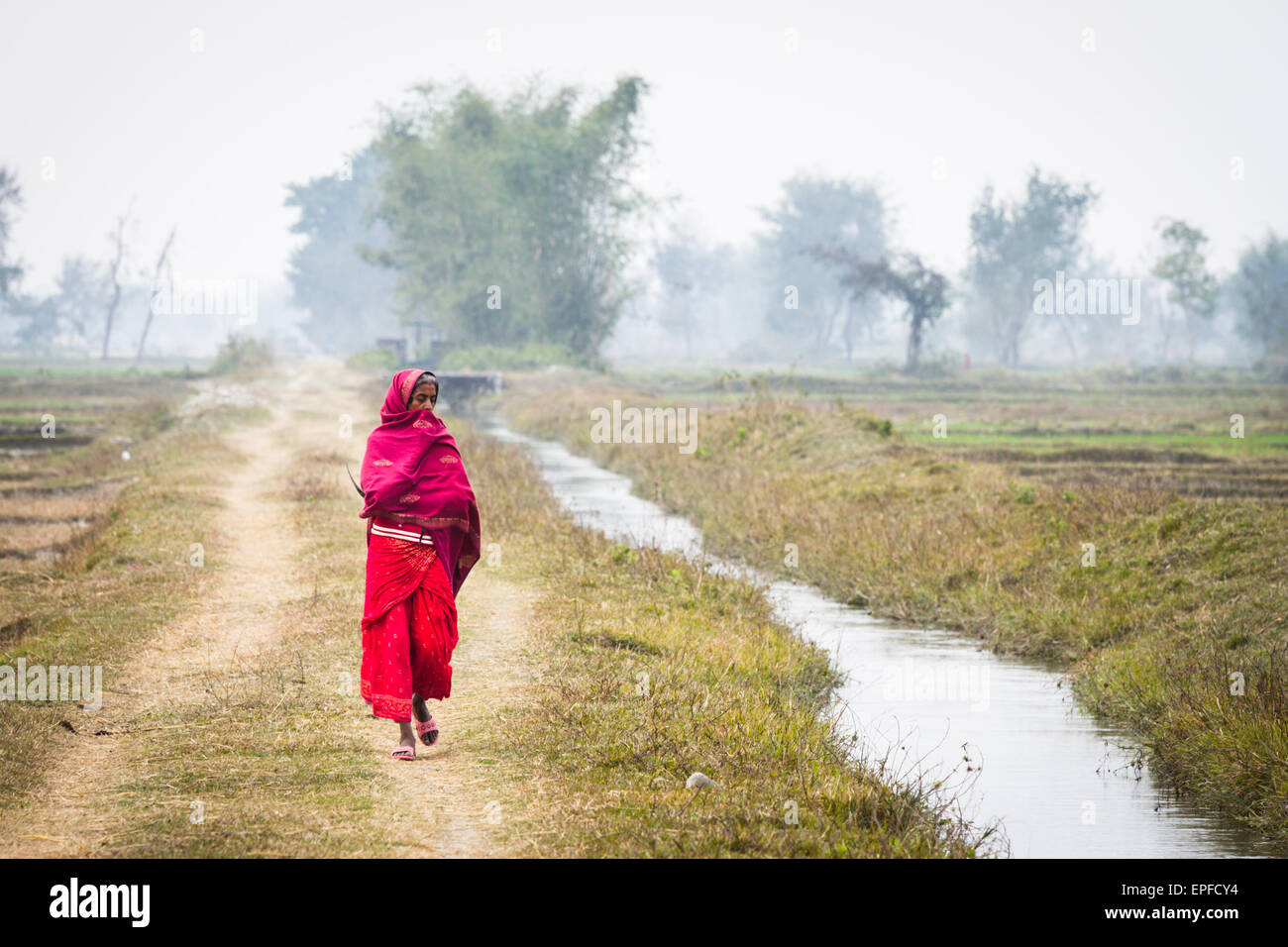 Nepal irrigation hi-res stock photography and images - Alamy