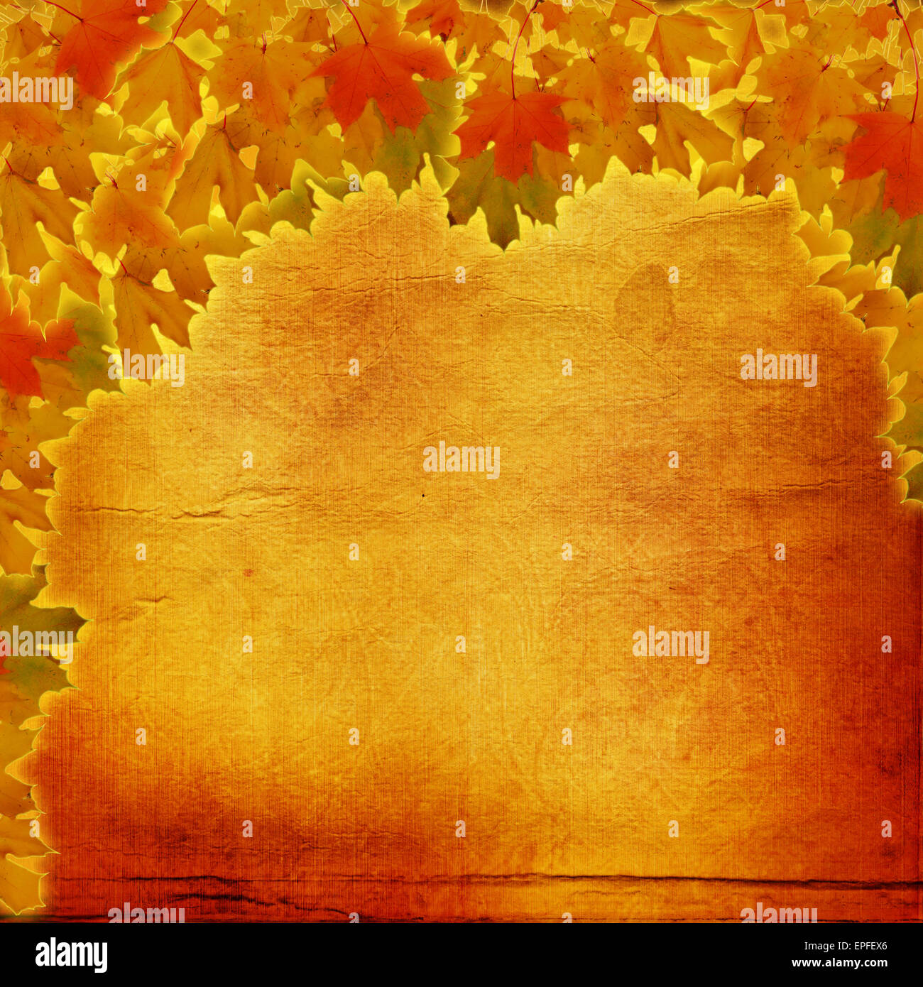 Decayed foliage backdrop hi-res stock photography and images - Alamy